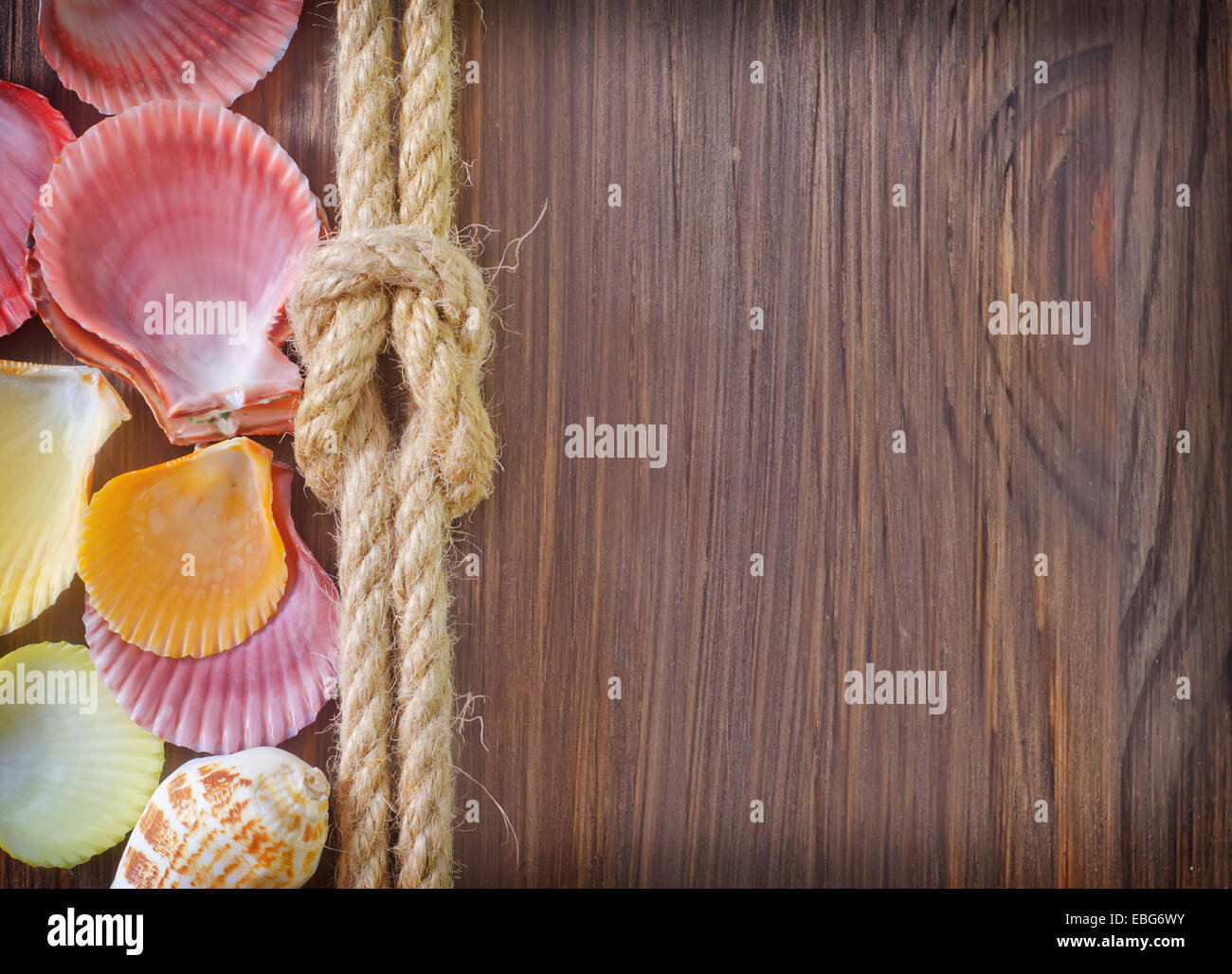 sea shells and rope Stock Photo - Alamy