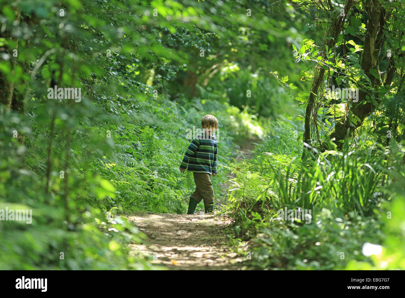 Boy on woodland path Stock Photo - Alamy