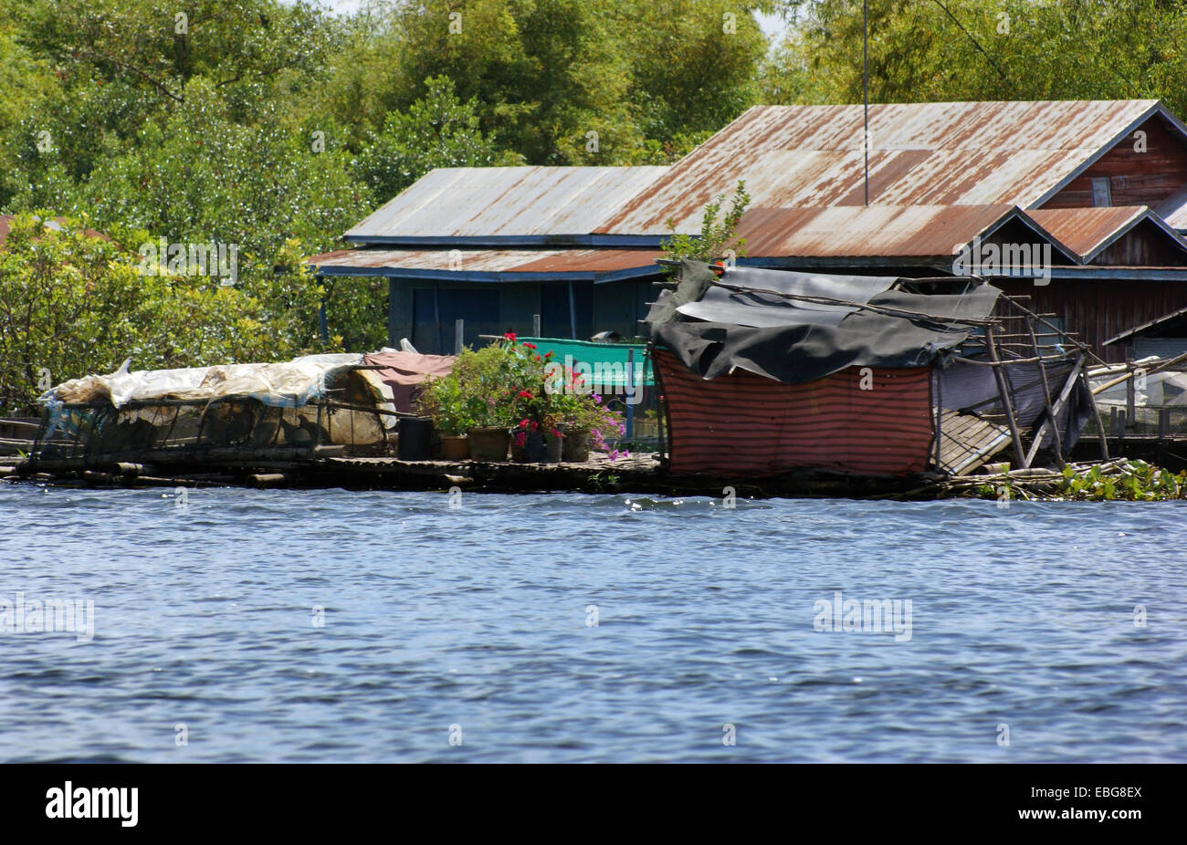 waterside scenery with rural houses at the Tonle Sap, a river in ...