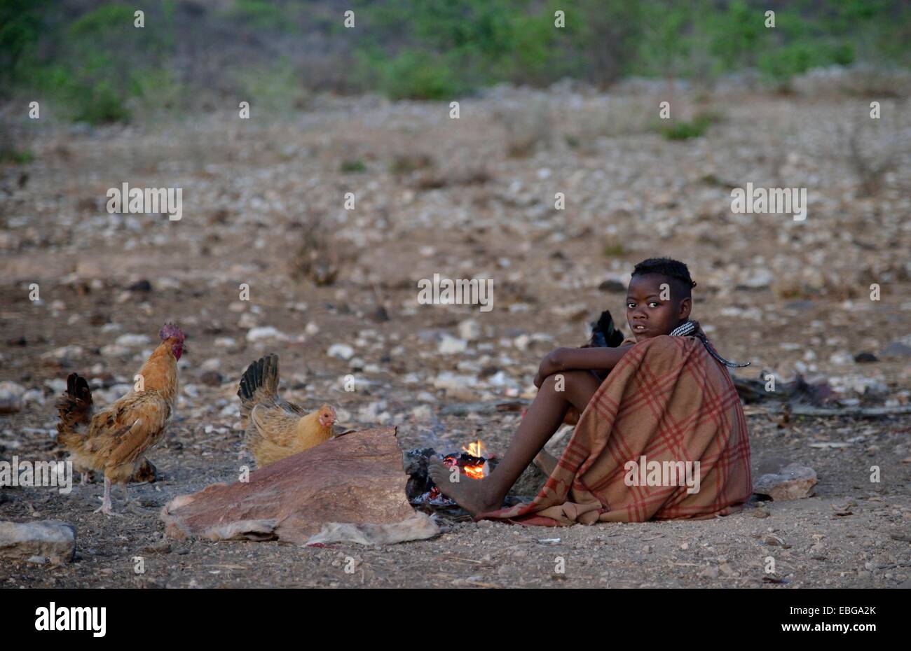 Young shepherdess from the Himba people sitting by a campfire, Ombombo ...