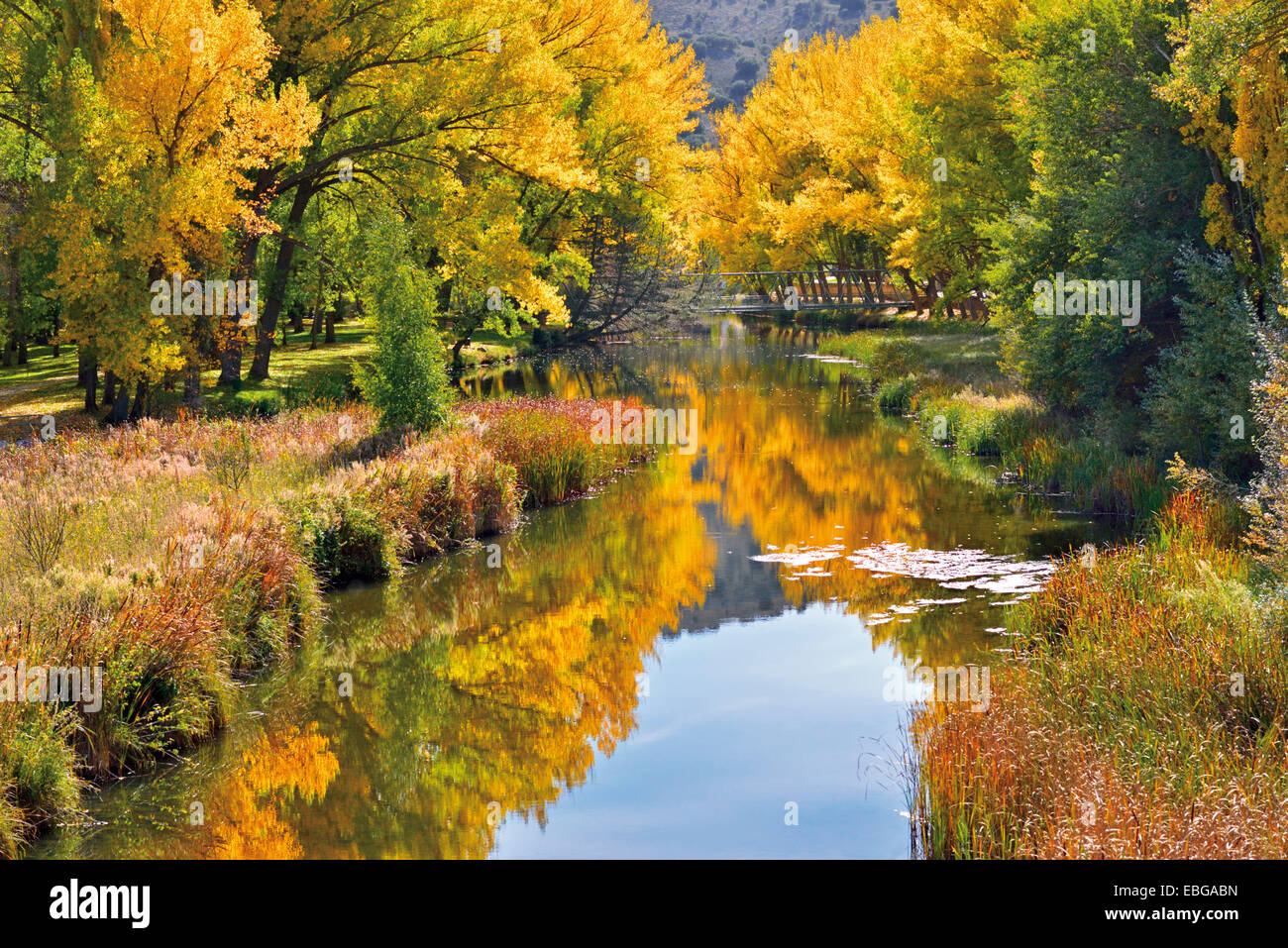 Spain, Castilla-Leon: Duero river surrounded by autumn trees and ...