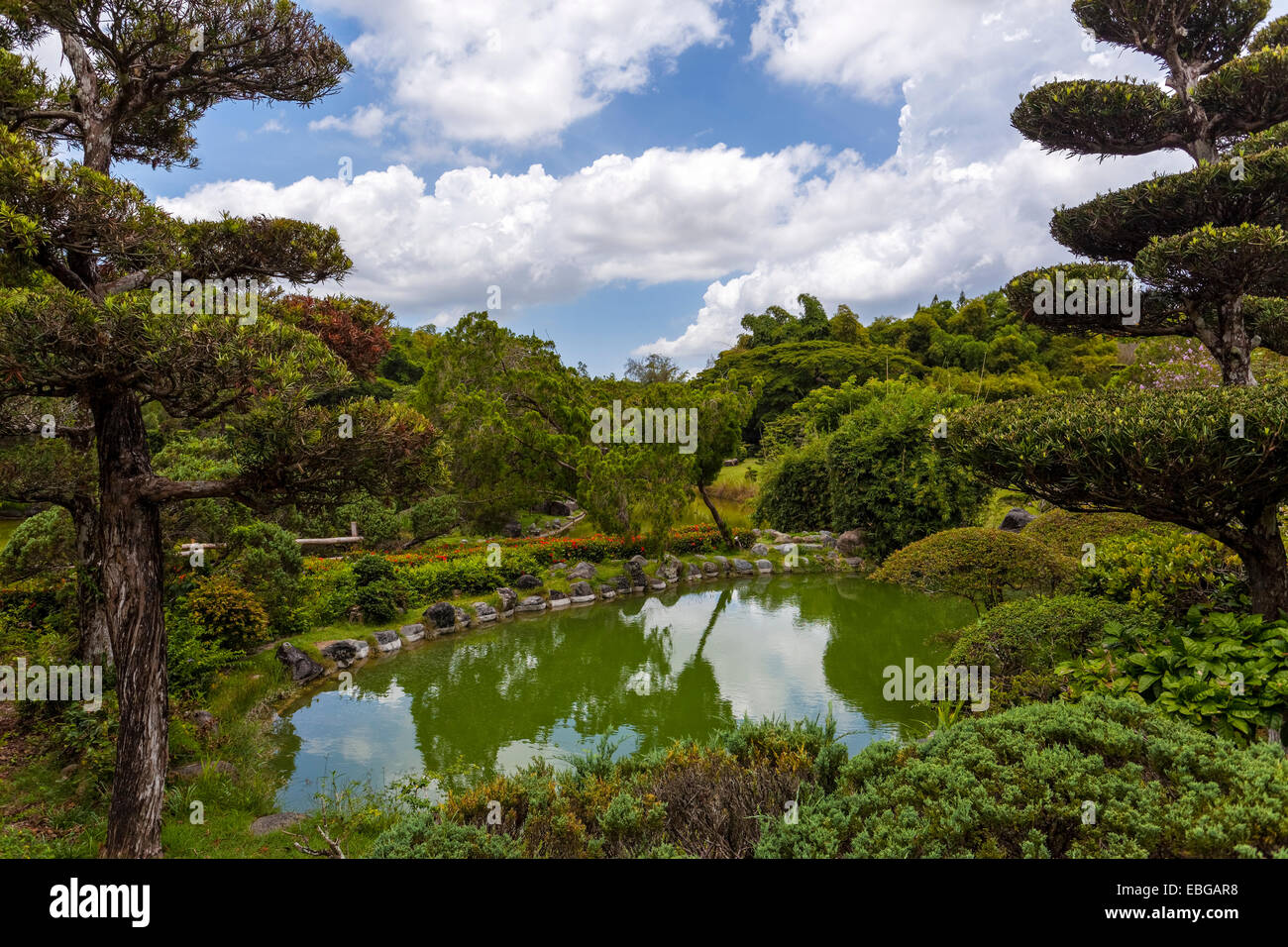 Lake in the Japanese Garden at the Jardin Botanico National "Dr. Rafael ...