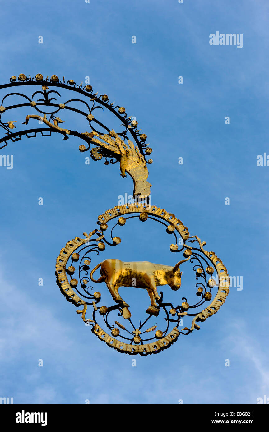 Ochse hi-res stock photography and images - Alamy