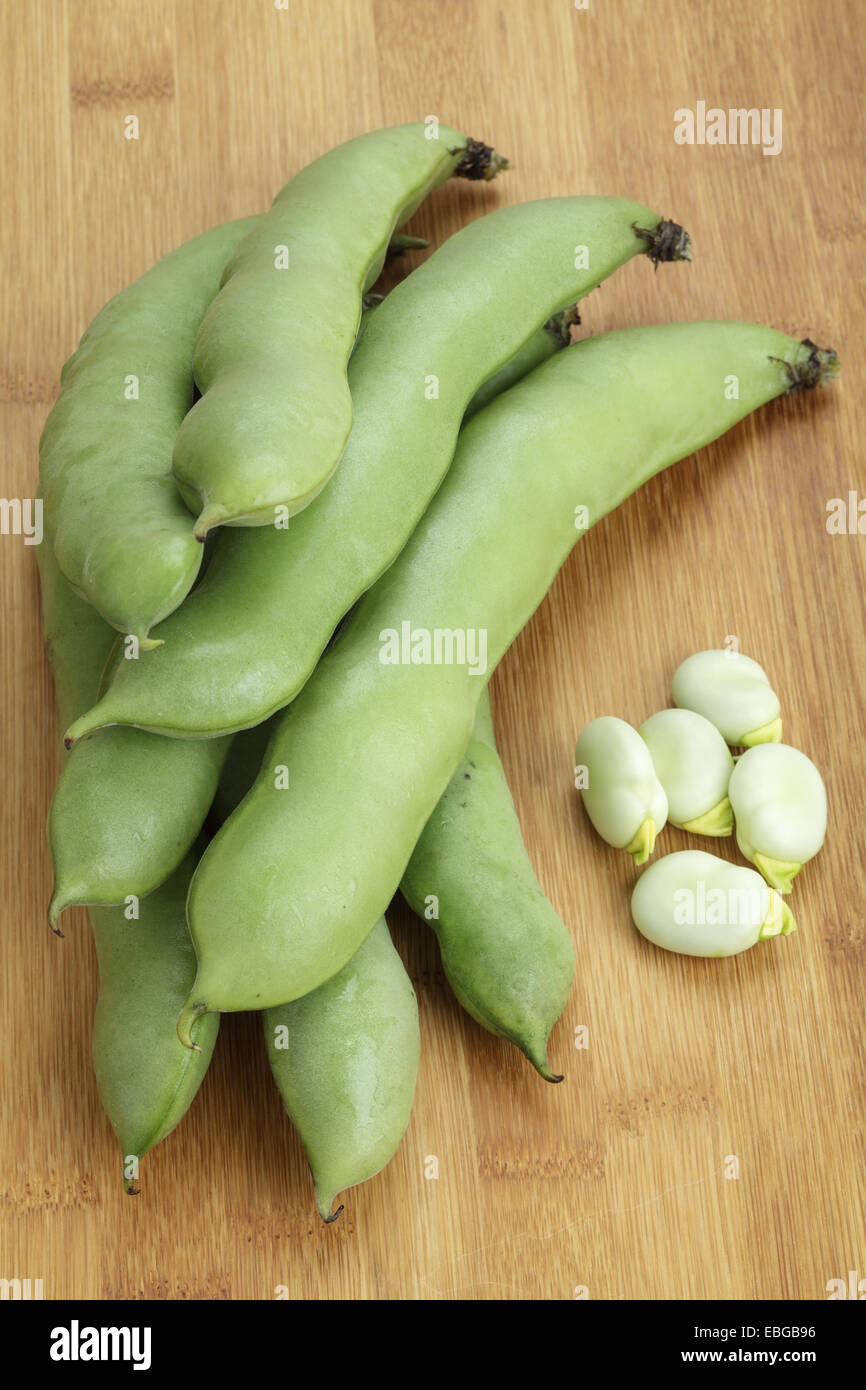 Broad beans (Vicia faba Stock Photo - Alamy