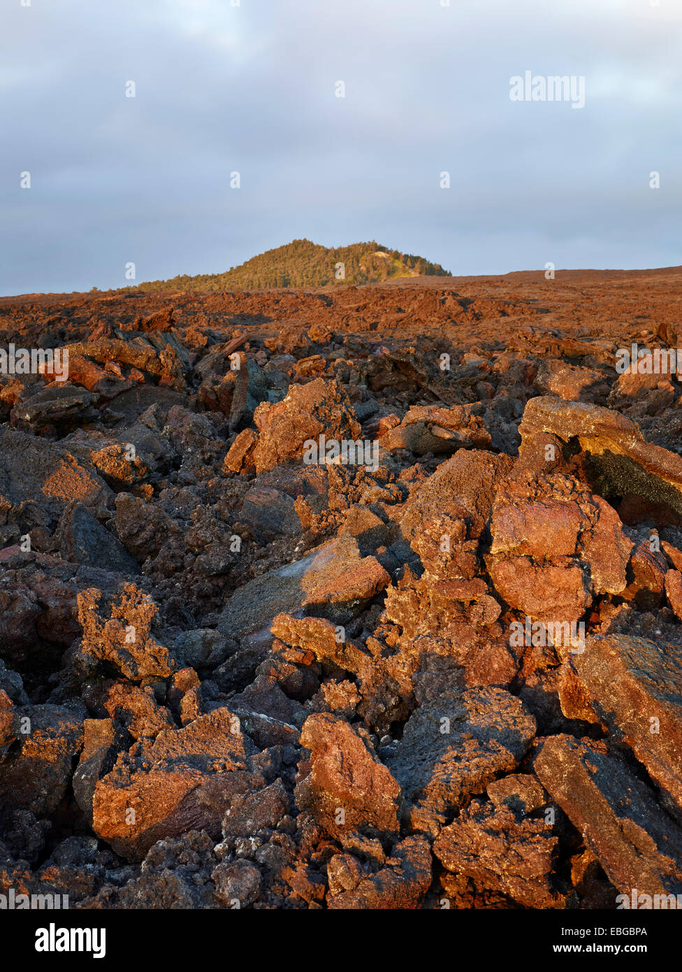 Lava rocks in the last evening light, Hawaiʻi-Volcanoes-Nationalpark ...
