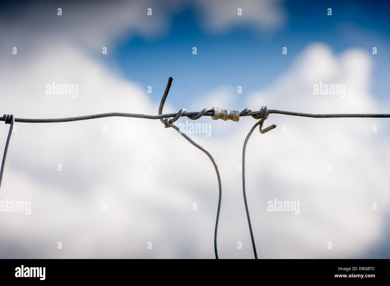Detail shot of wire fence wound together Stock Photo - Alamy