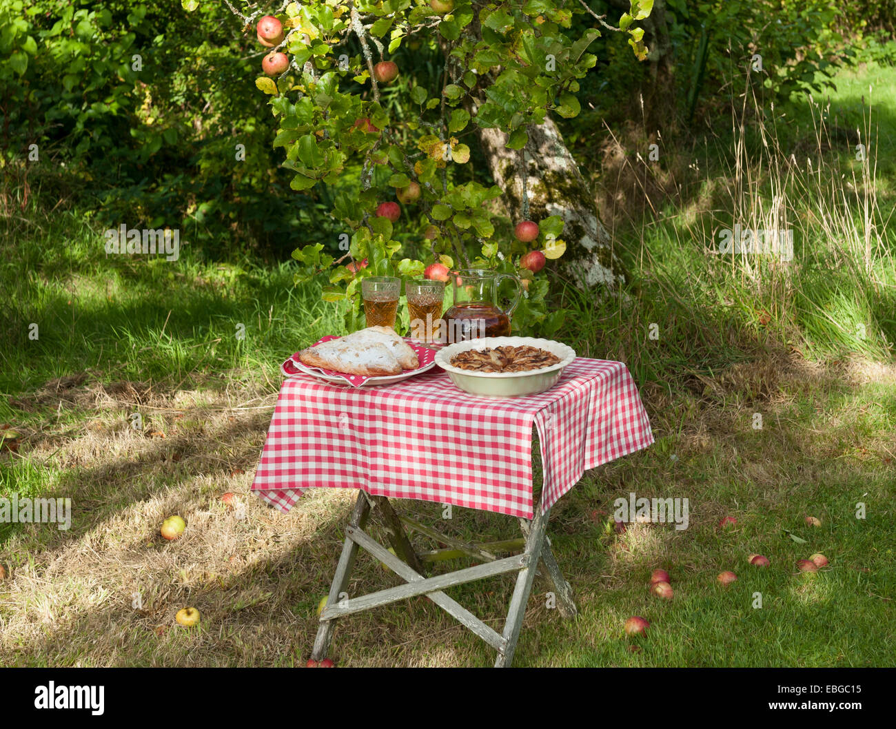 Apple produce laid out on a table in old apple orchard Stock Photo - Alamy
