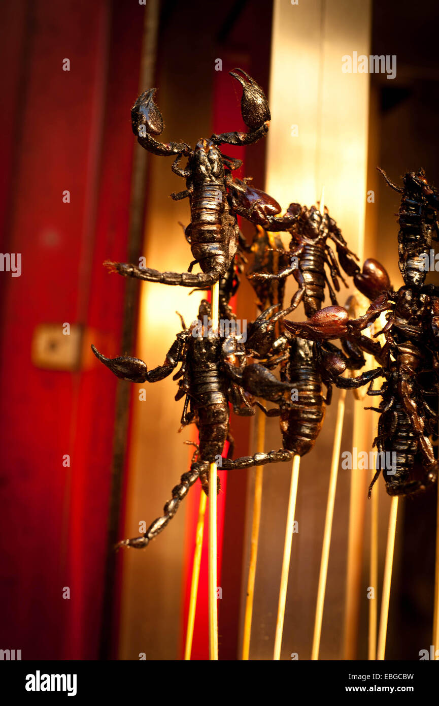 Scorpion skewers in Wangfujing, a street full of weird food in Beijing ...