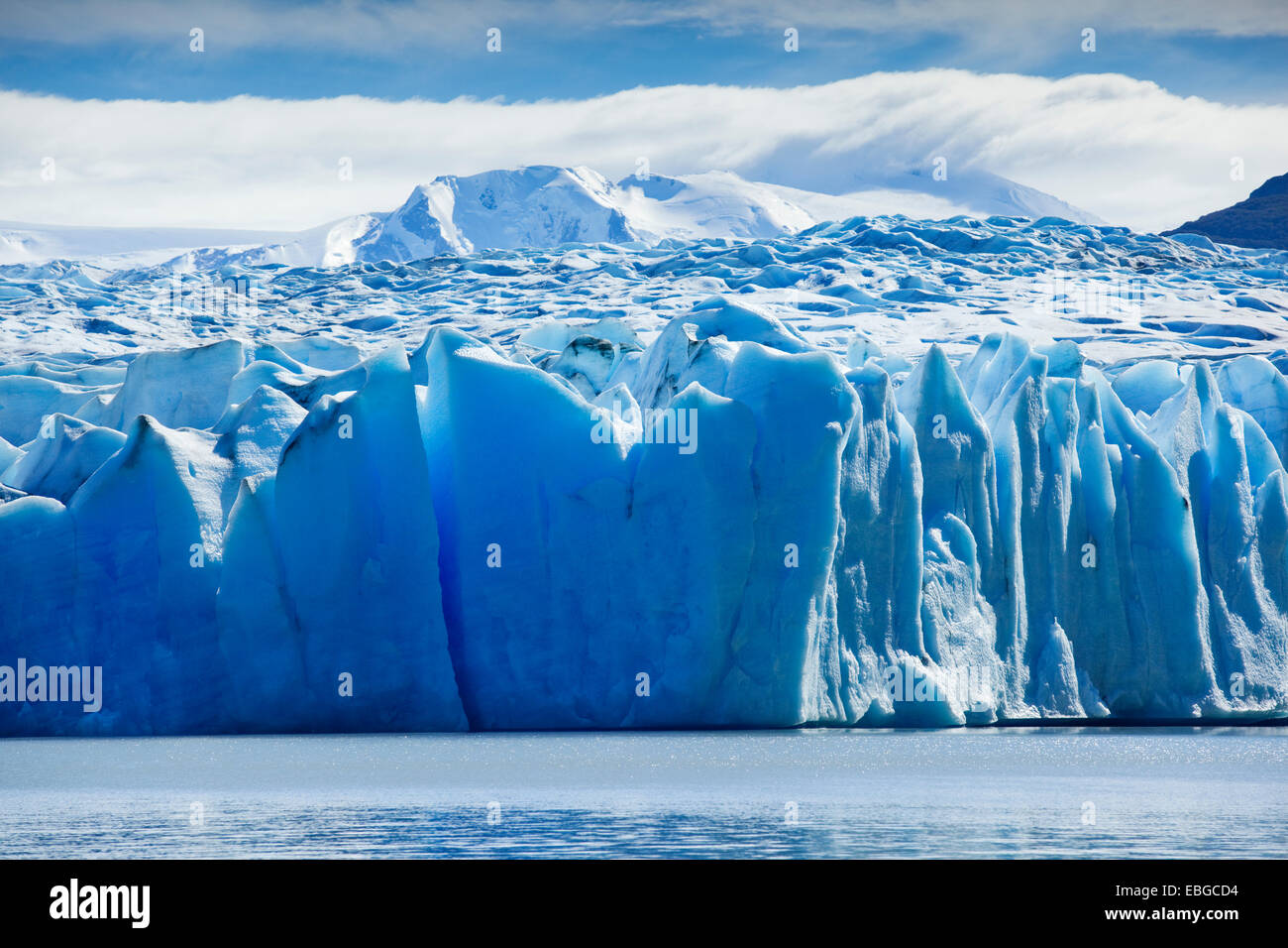 Grey Glacier, glacier front at the Grey Lake, Torres del Paine National ...