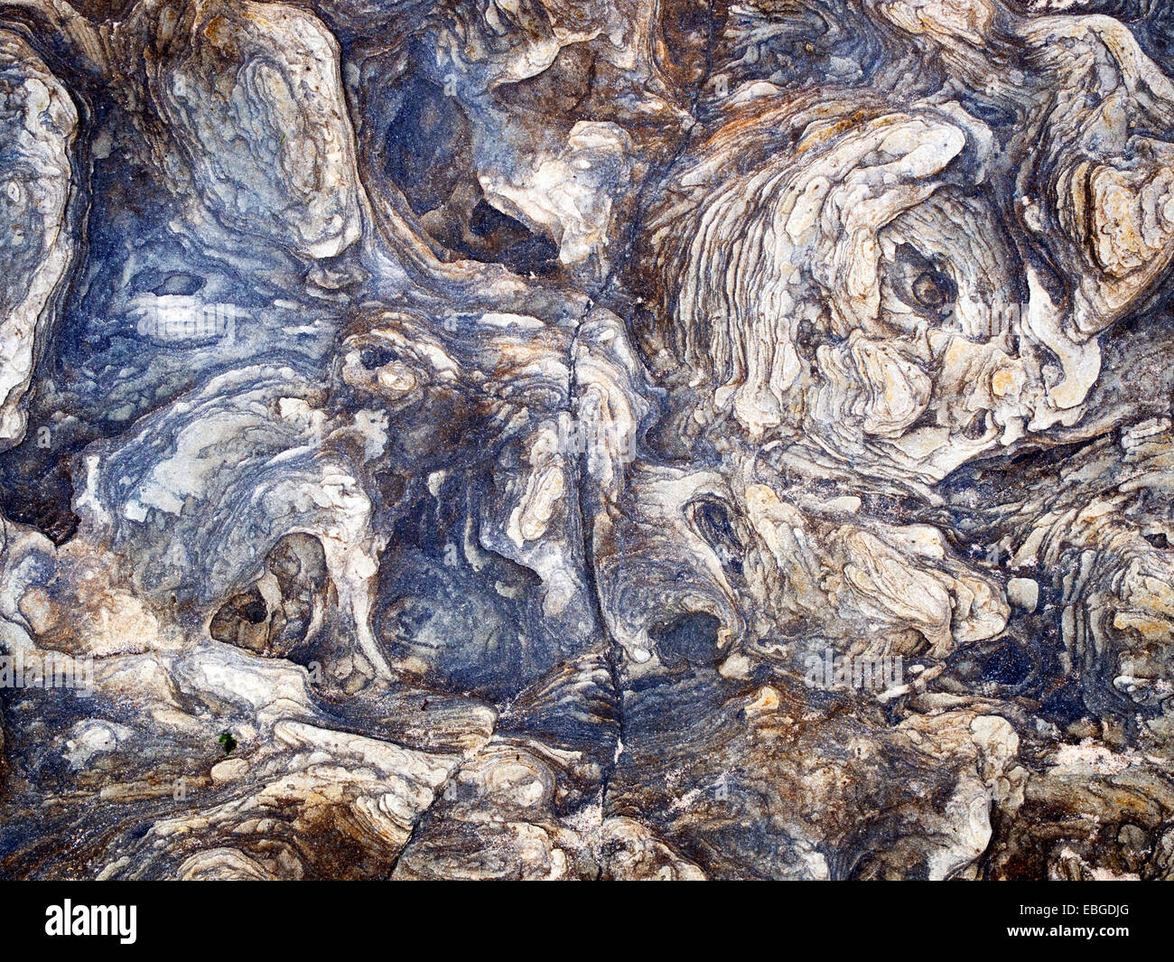 Rock Detail on the Beach at Amble by the Sea Northumberland Coast ...