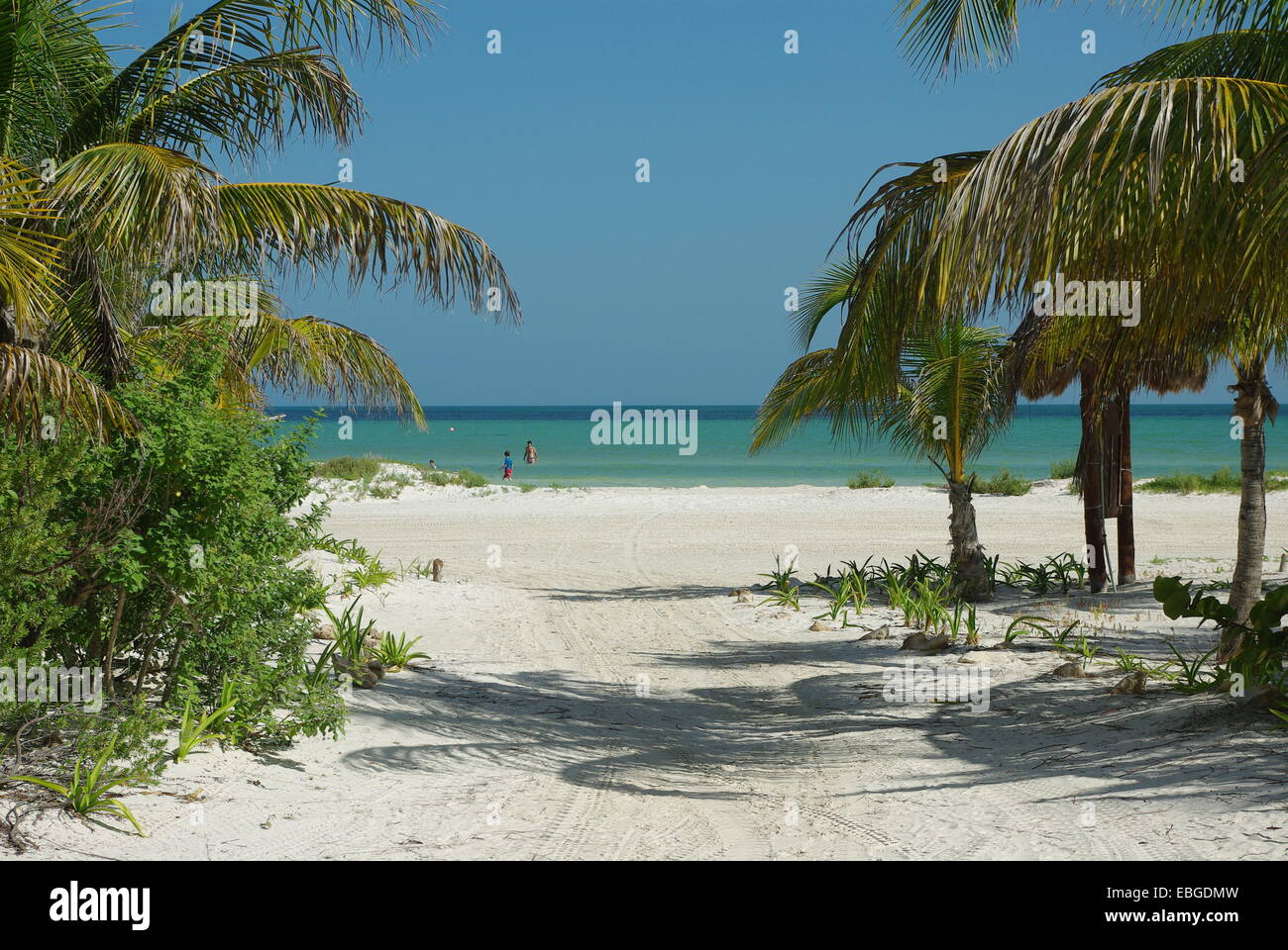 Holbox mexique hi-res stock photography and images - Alamy