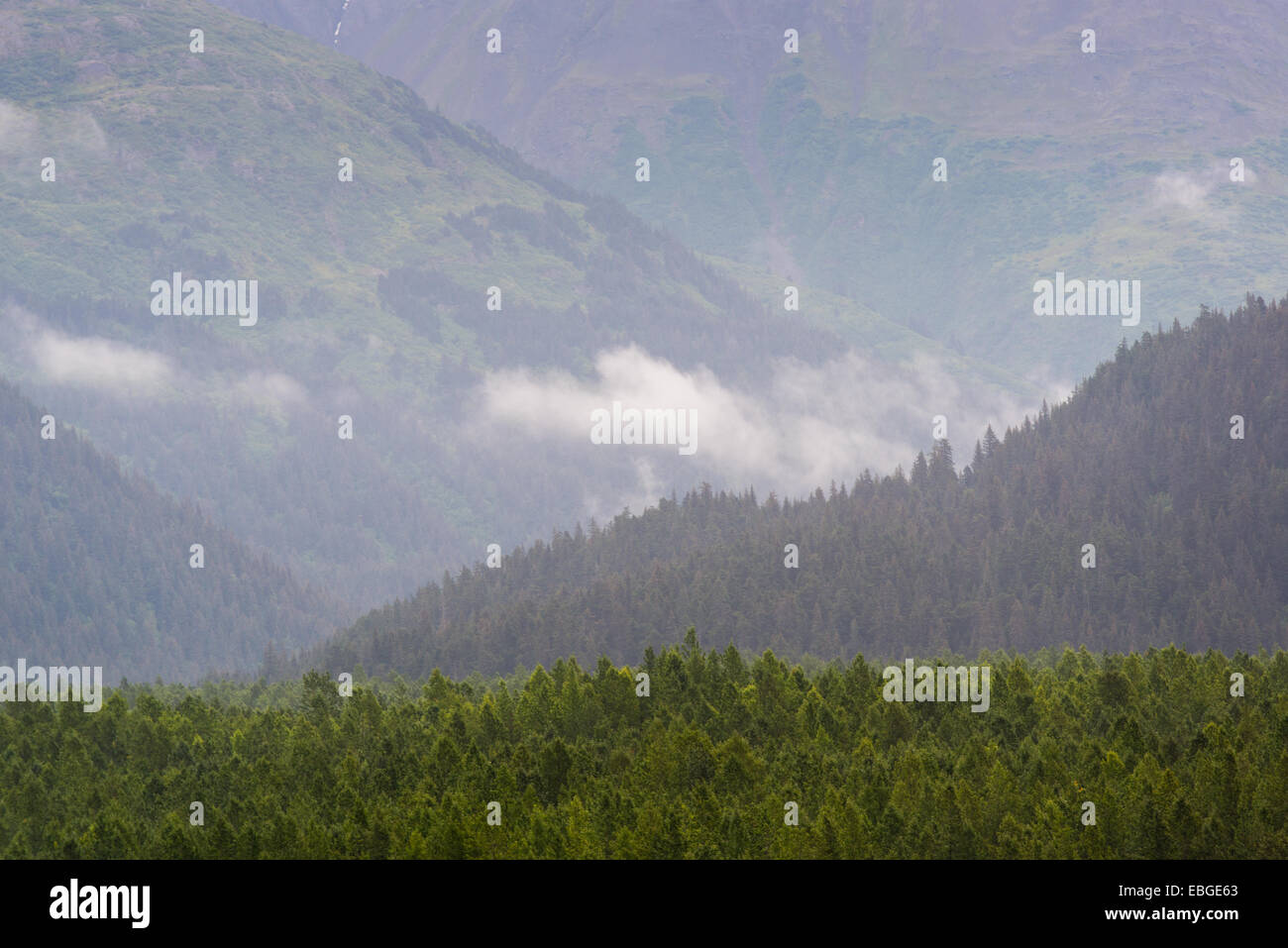 Alaskan mountain mist hi-res stock photography and images - Alamy