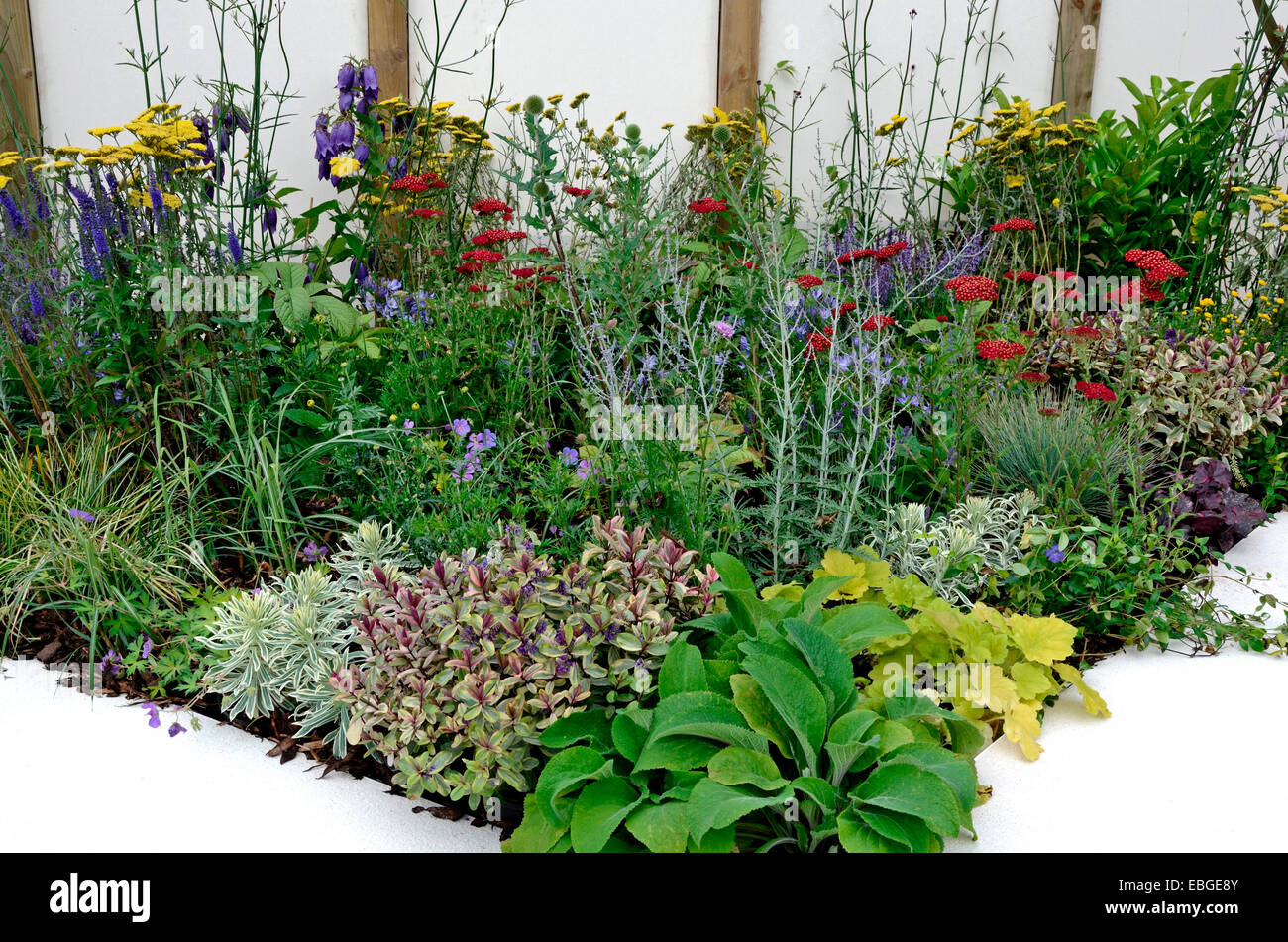 A colourful raised flower border in a public urban garden space Stock ...