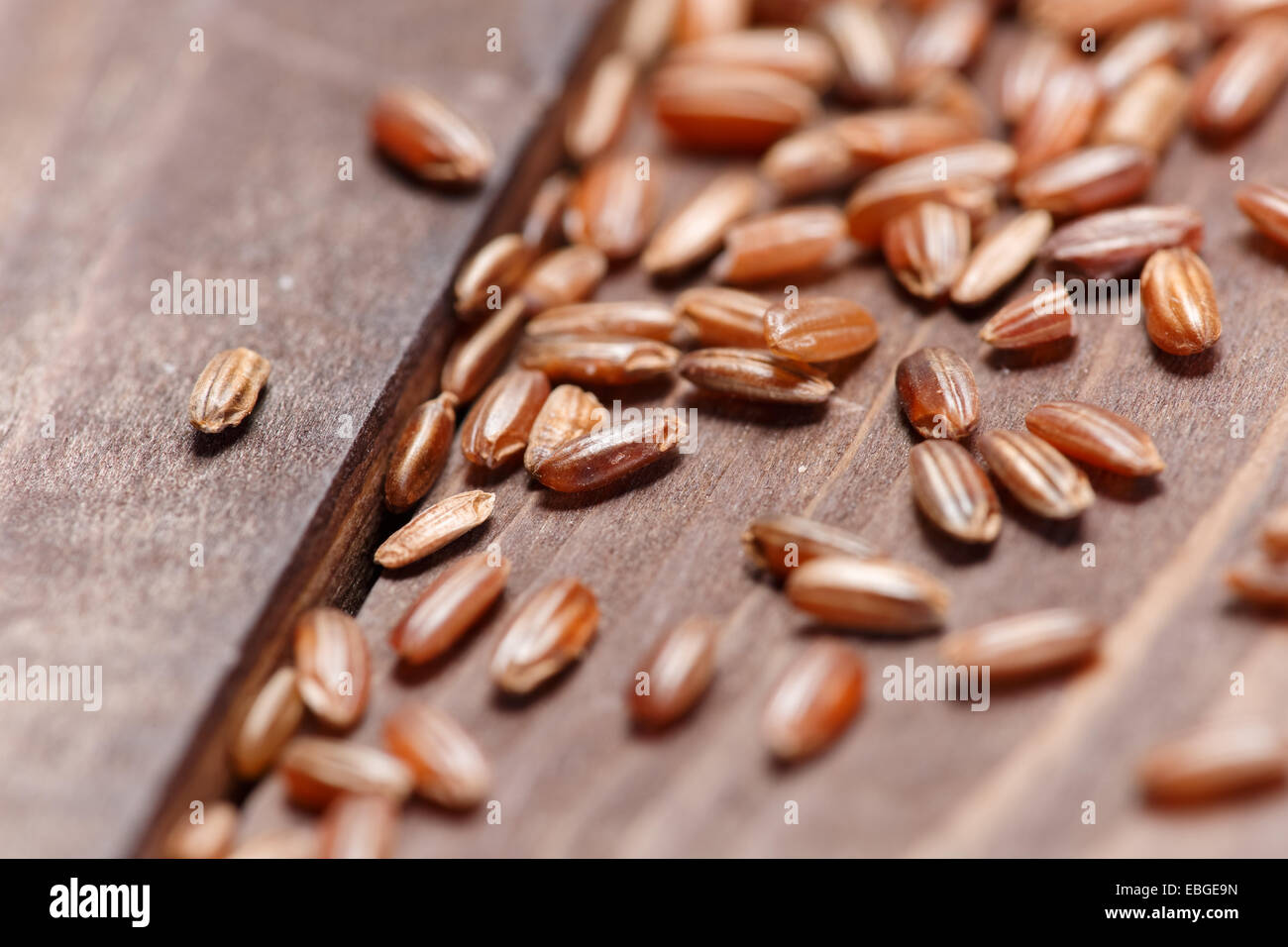 wild red rice in bowl Stock Photo - Alamy