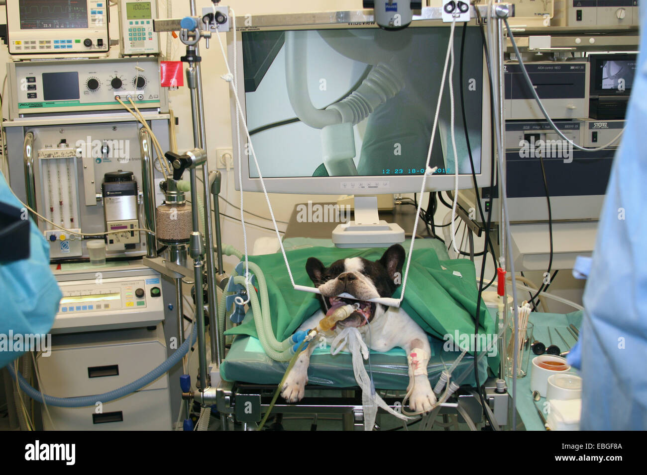 Operation tables hi-res stock photography and images - Alamy