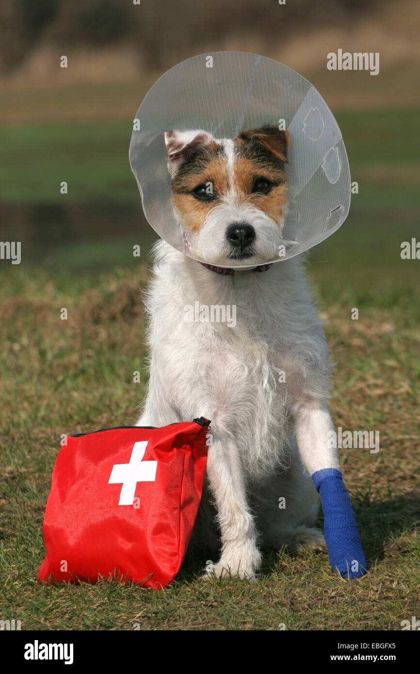 PRT with first aid bag Stock Photo - Alamy