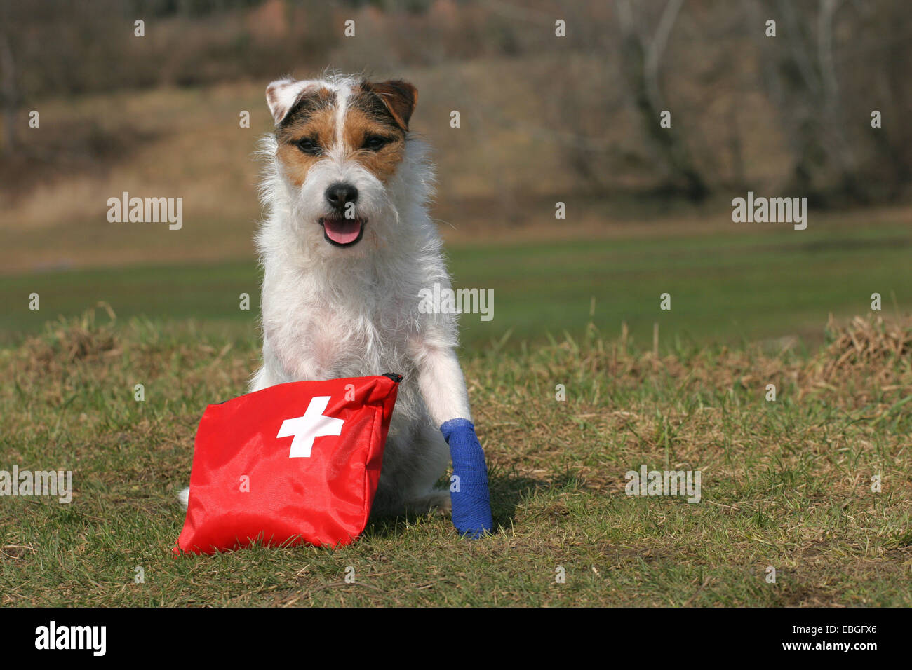 PRT with first aid bag Stock Photo - Alamy