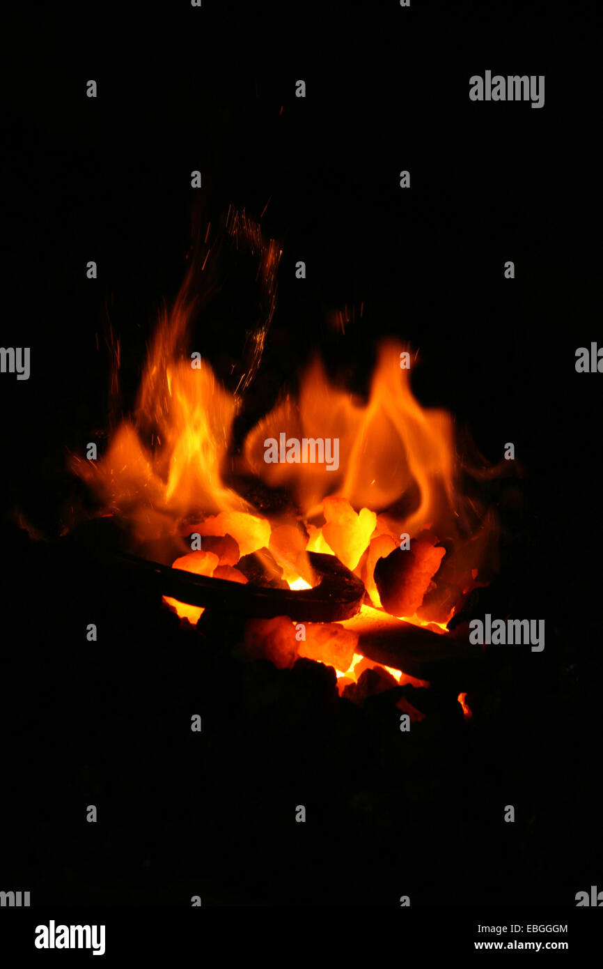 Equine horseshoeing hi-res stock photography and images - Alamy