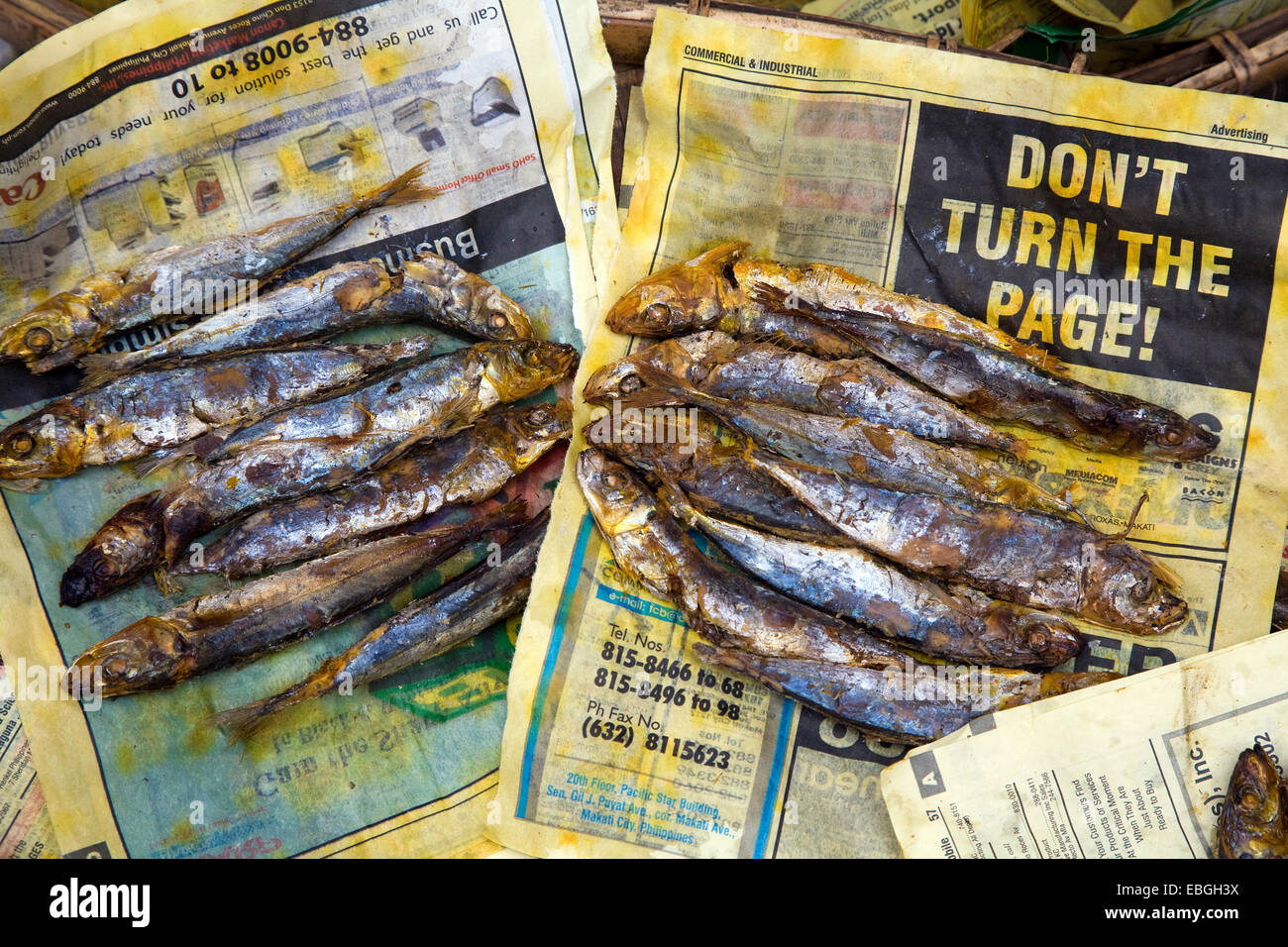 Fish displayed on Newspaper for sale at Market, Luzon, Philippines ...