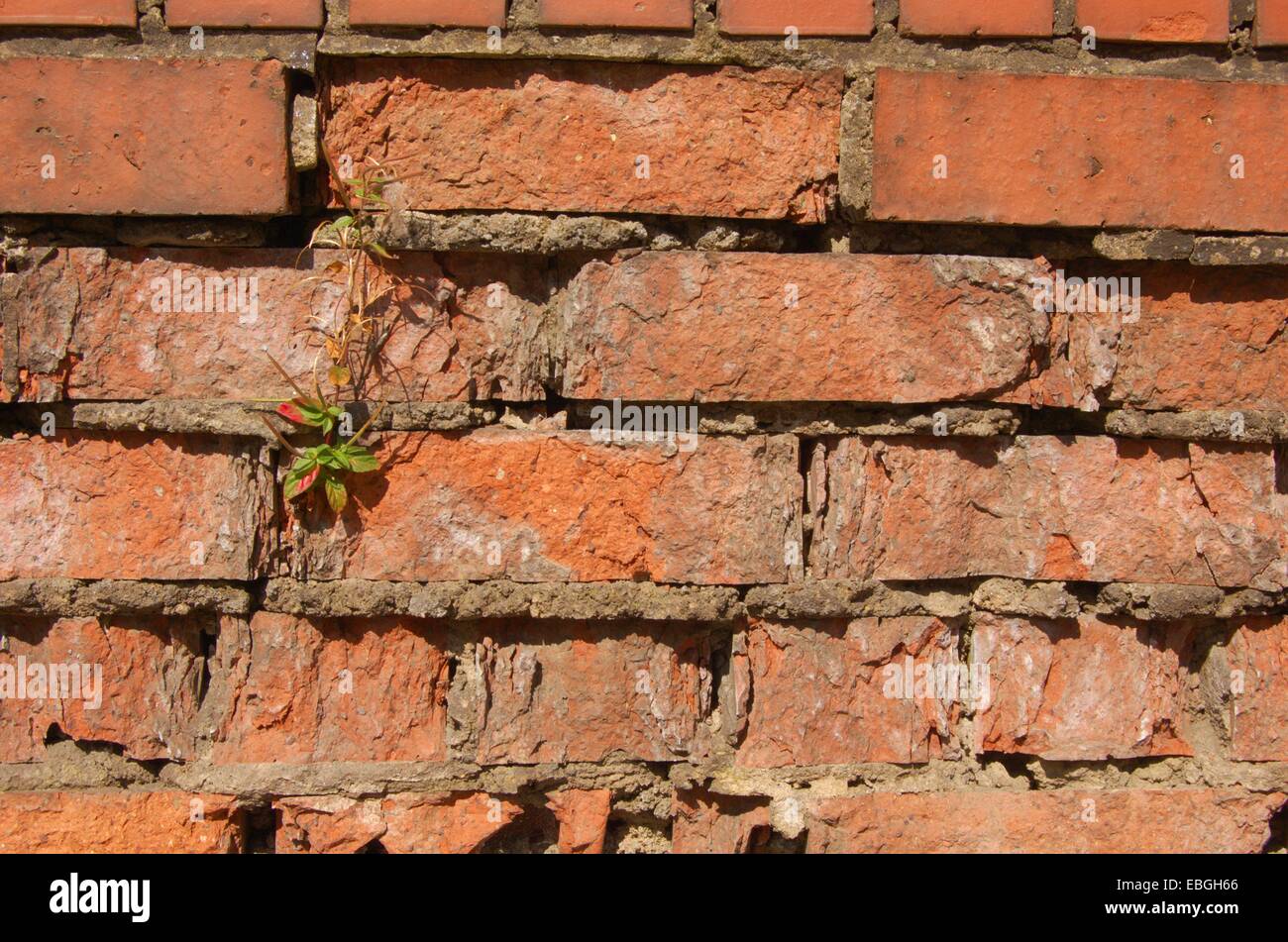 Extensive wall damage hi-res stock photography and images - Alamy