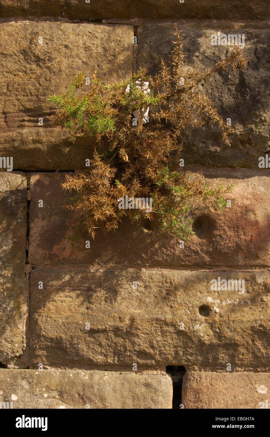 Brick railway embankment hi-res stock photography and images - Alamy