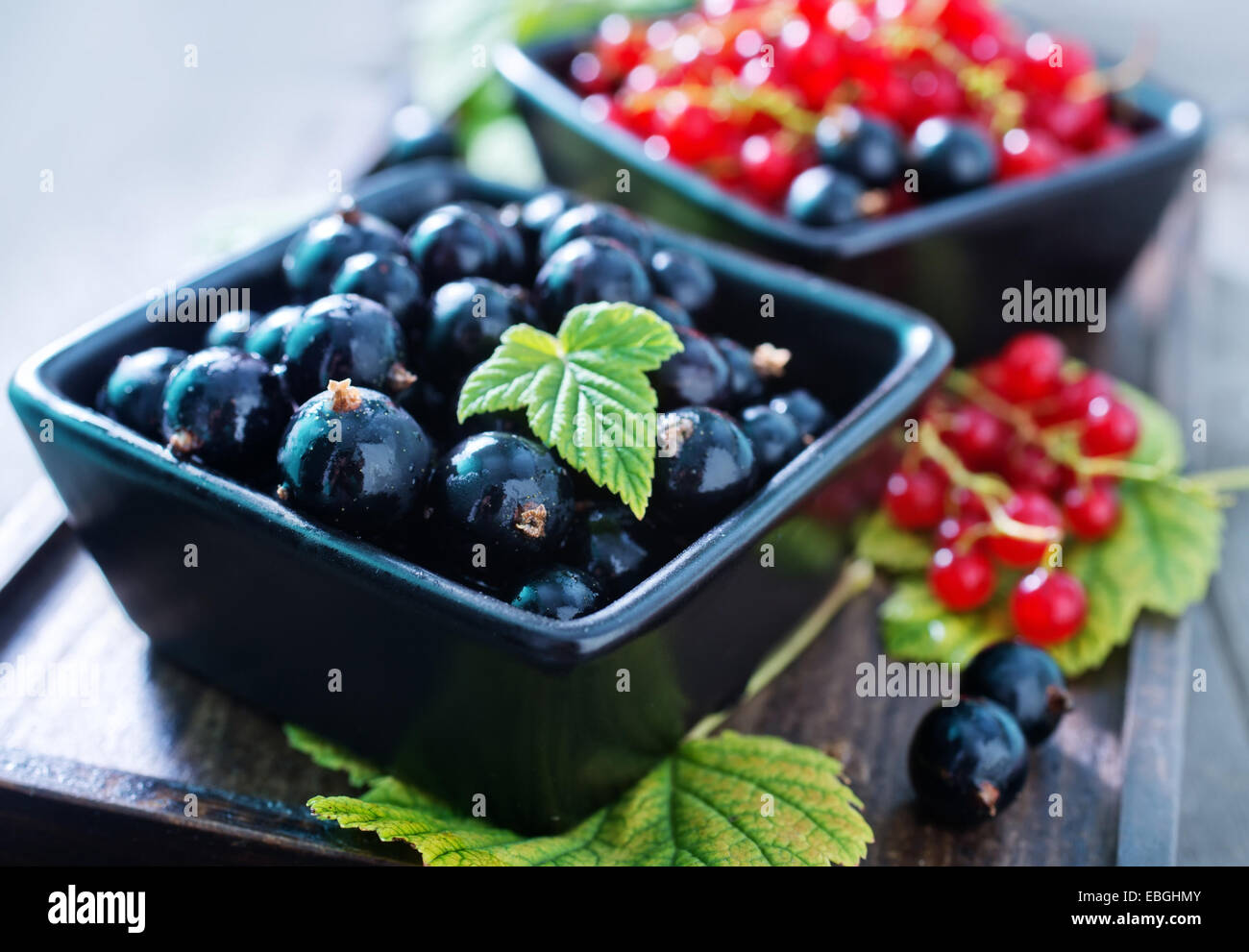 black and red currant Stock Photo - Alamy