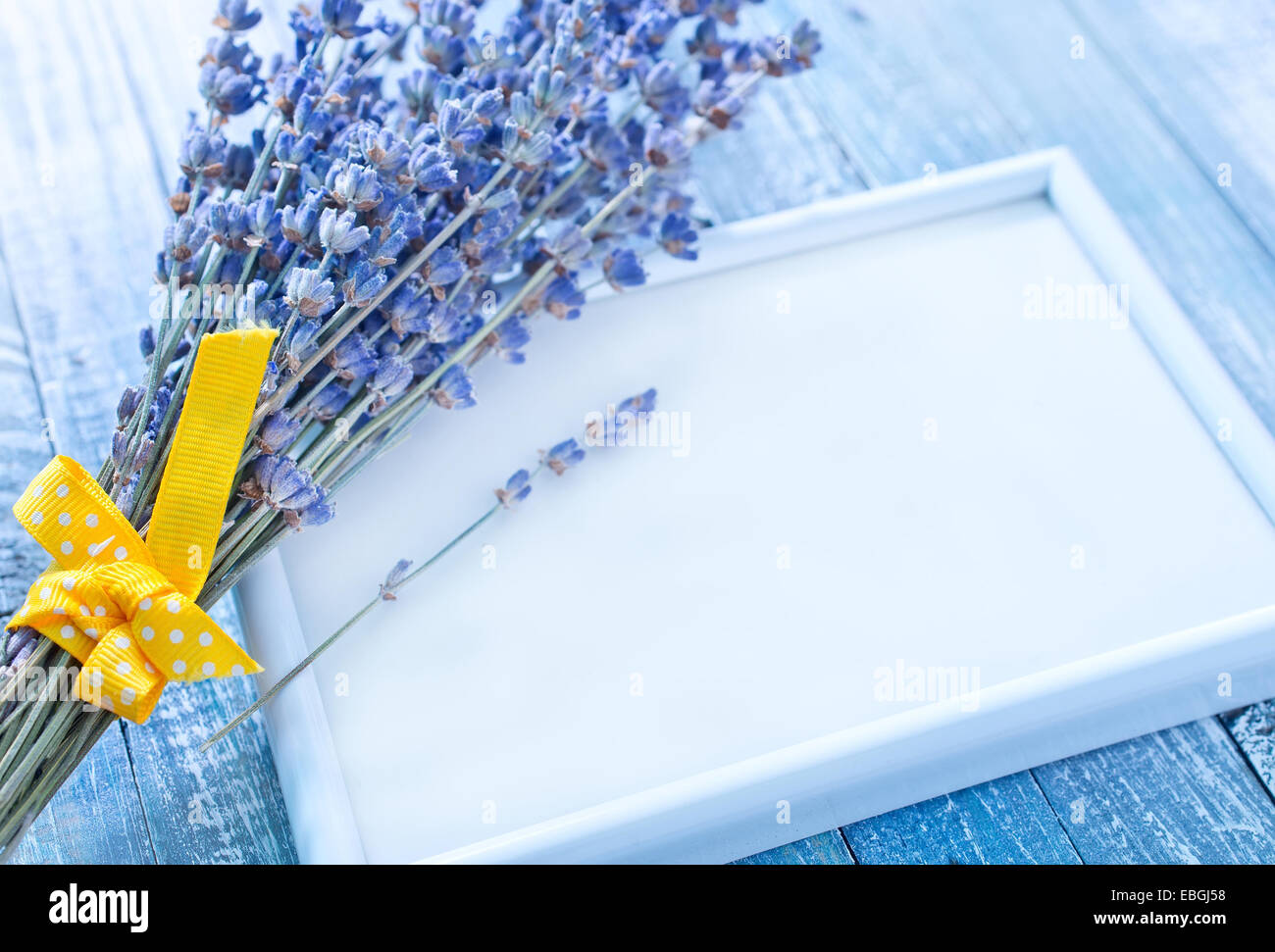 frame and lavender Stock Photo - Alamy