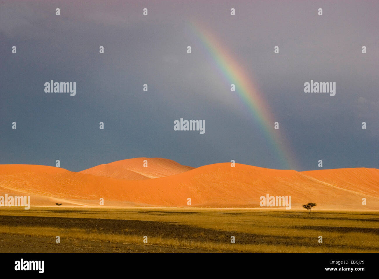 Rainbow over sossusvlei hi-res stock photography and images - Alamy