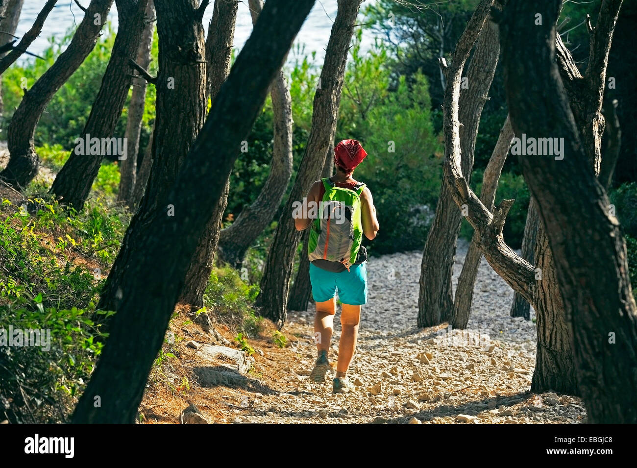 European vacation walking through park hi-res stock photography and ...