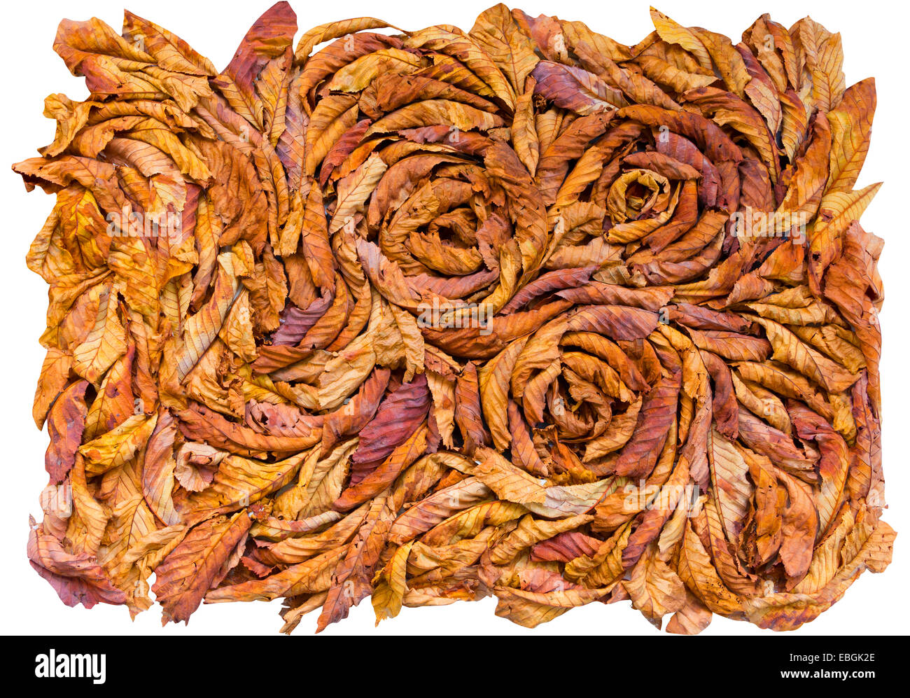 Abstract leaf composition Cut Out Stock Images & Pictures - Alamy