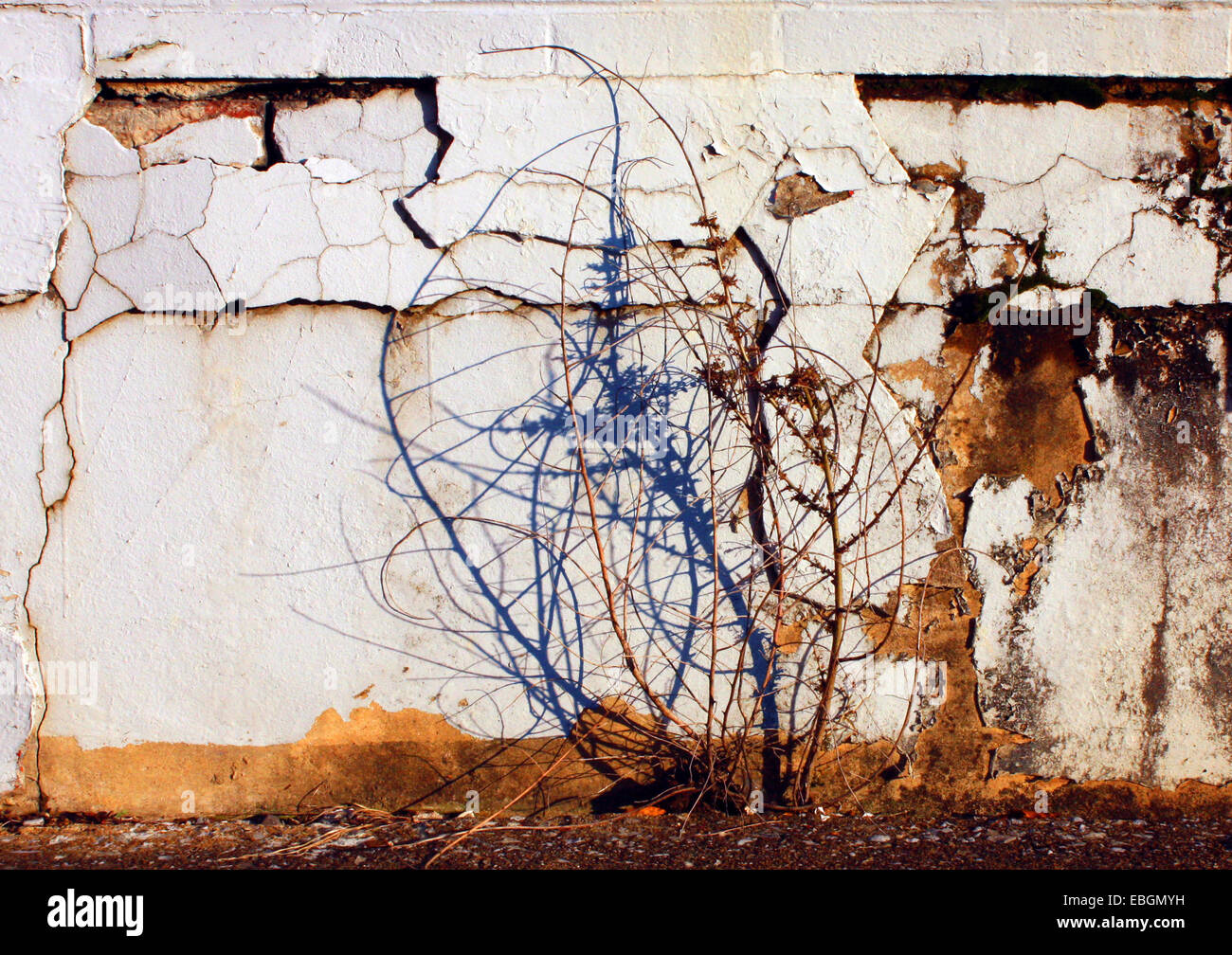 Color digital hi-res stock photography and images - Alamy