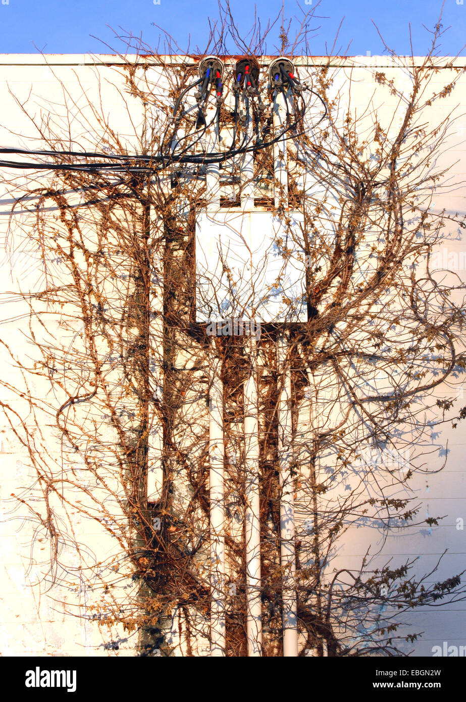 Color digital photograph Stock Photo - Alamy