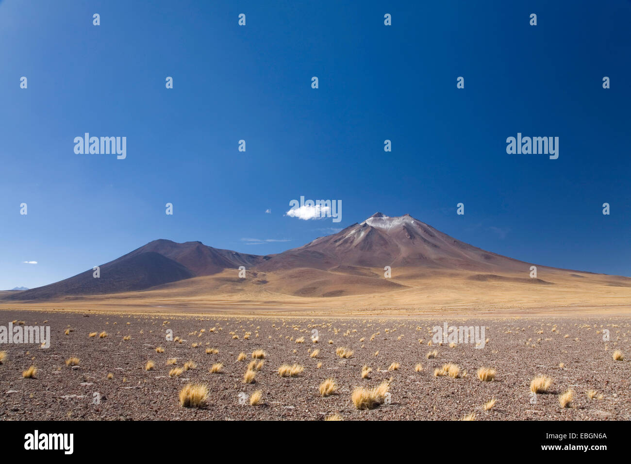 landscape with mountain, Chile Stock Photo - Alamy
