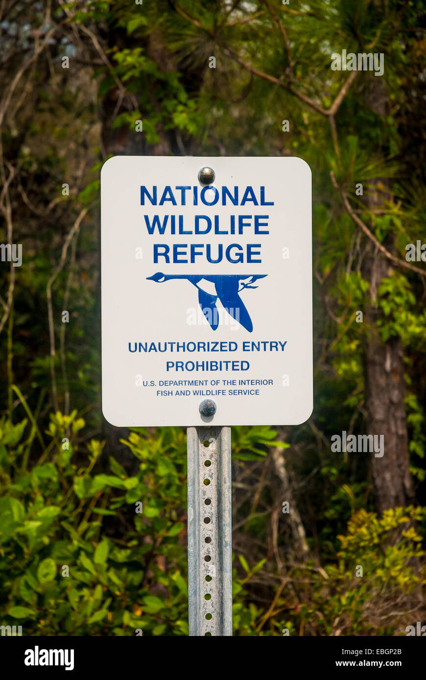 A US National Wildlife Refuge sign warns against unauthorized entry ...
