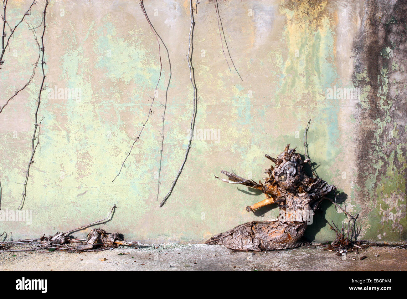 Digital photograph hi-res stock photography and images - Alamy