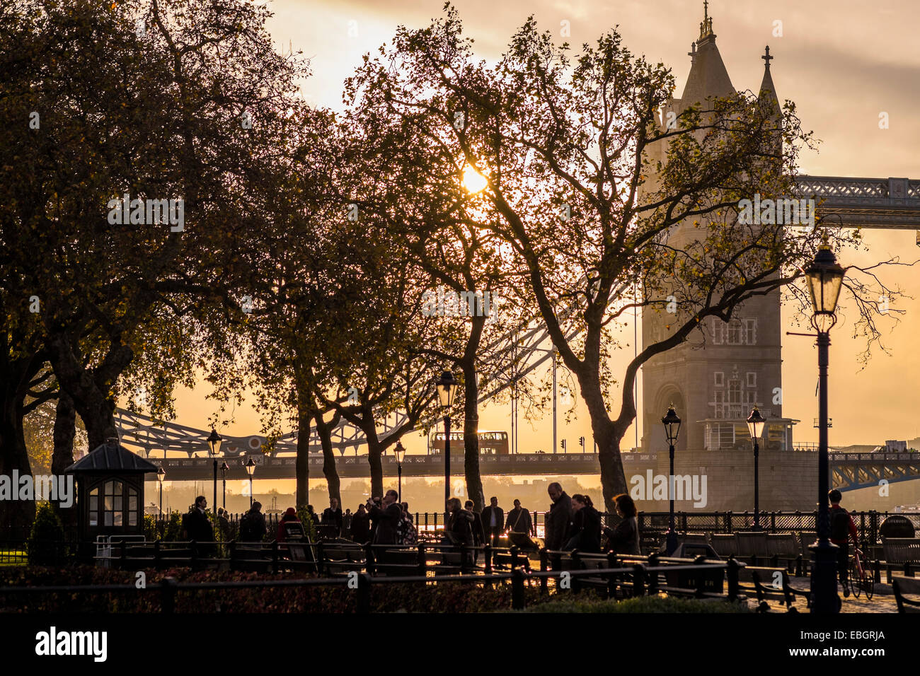 Autumn sunrise on the river Thames - London Stock Photo - Alamy