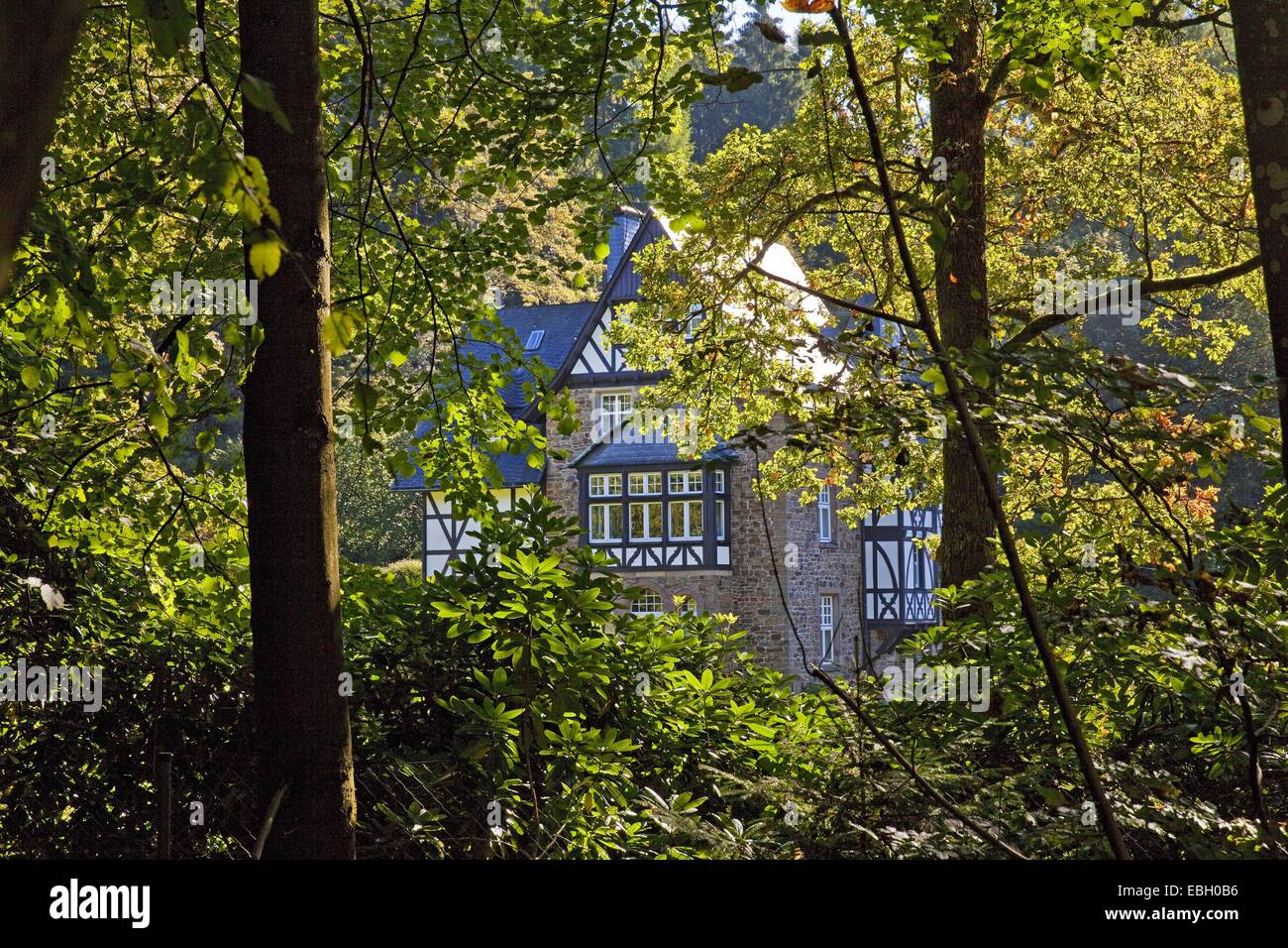 German castle medieval trees hi-res stock photography and images - Alamy