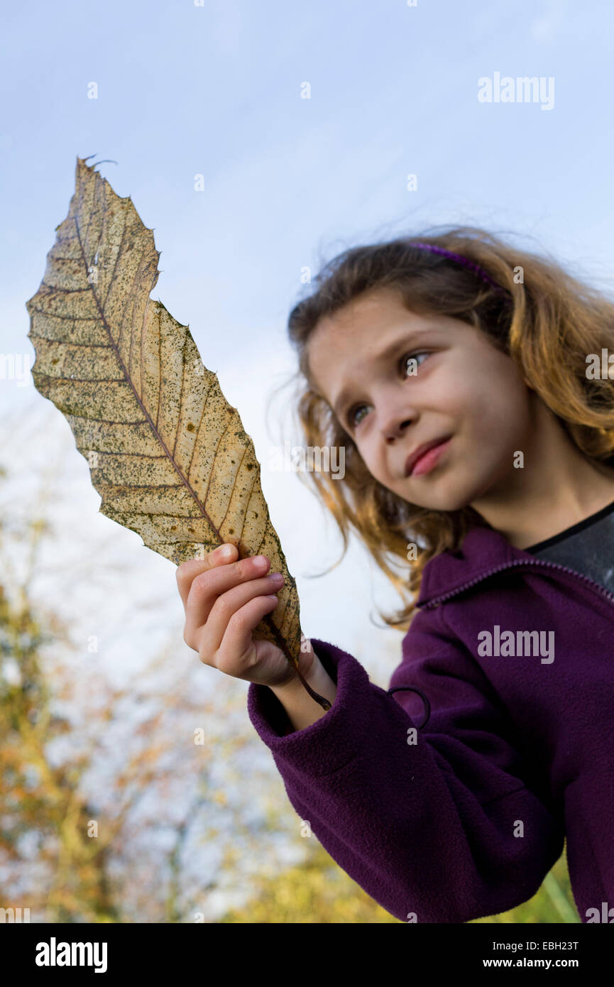 Child leaf hi-res stock photography and images - Alamy