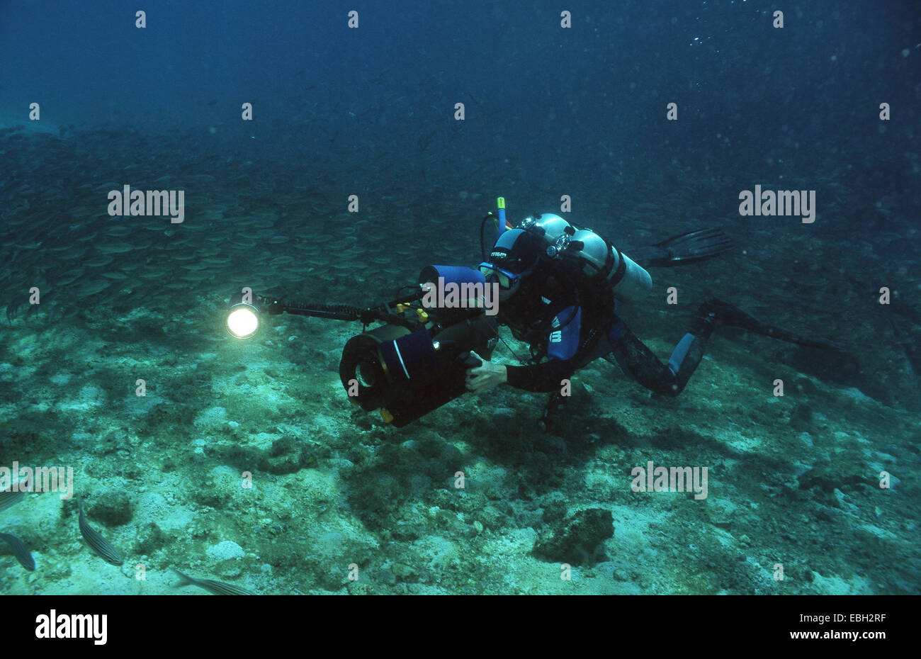 diver with camera Stock Photo - Alamy