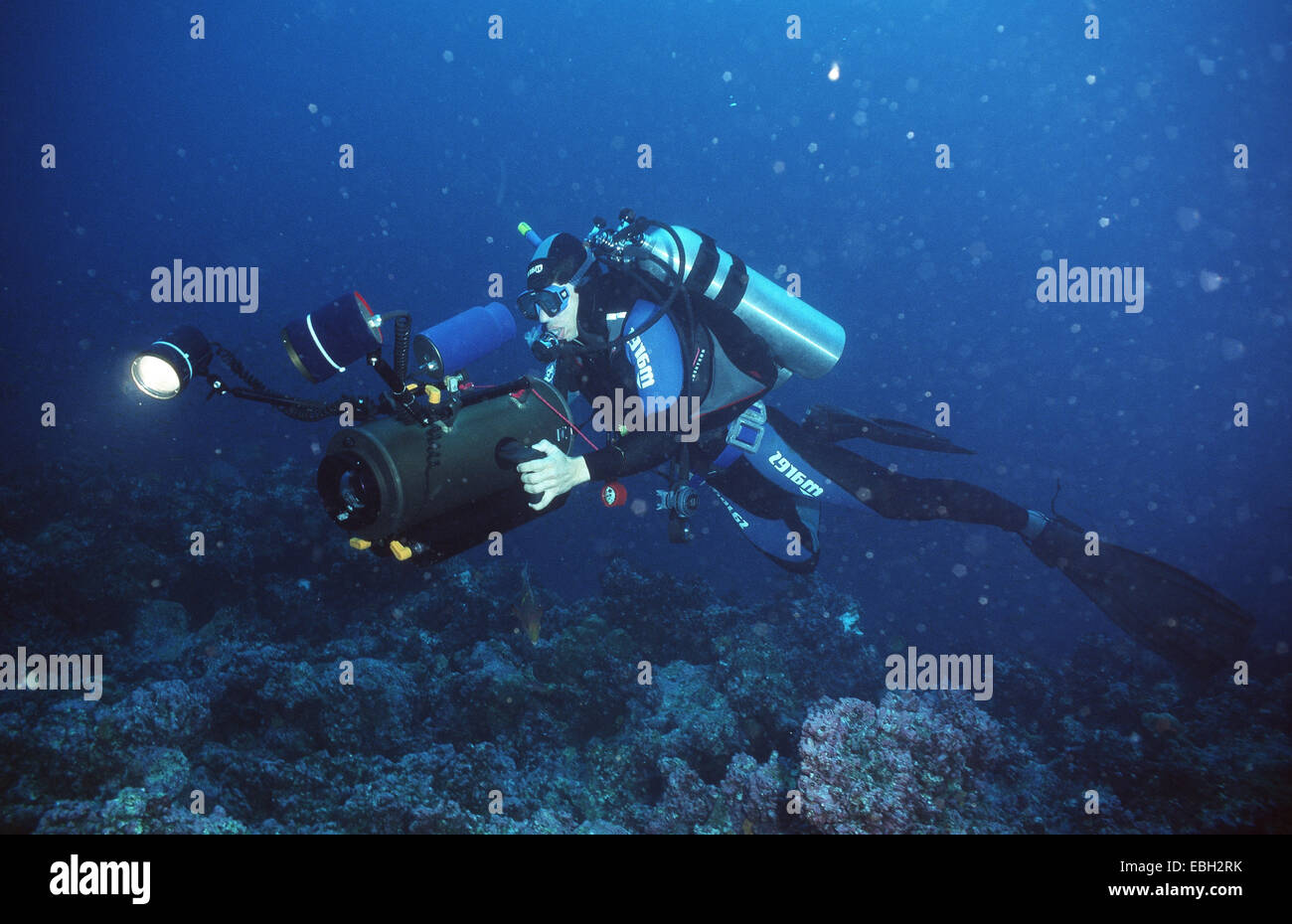 diver with camera Stock Photo - Alamy