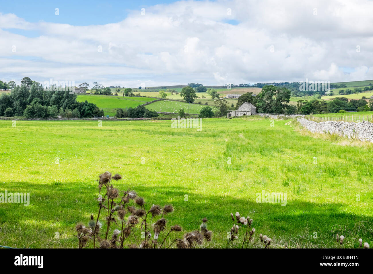 English countryside in the summer time, England's green and pleasant ...