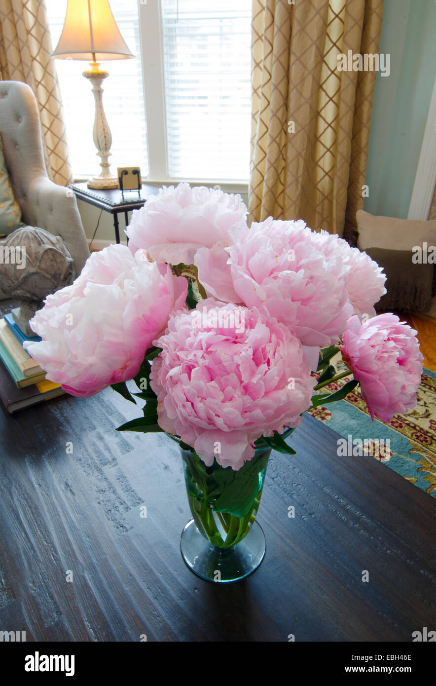 Multi colored peonies hi-res stock photography and images - Alamy