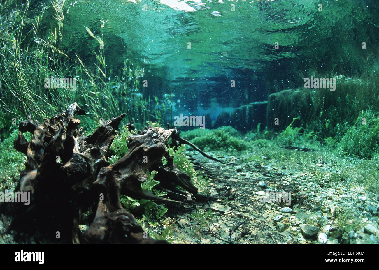 freshwater scenery (Suesswasserlandschaft (Karstwasserquellfluss Stock ...