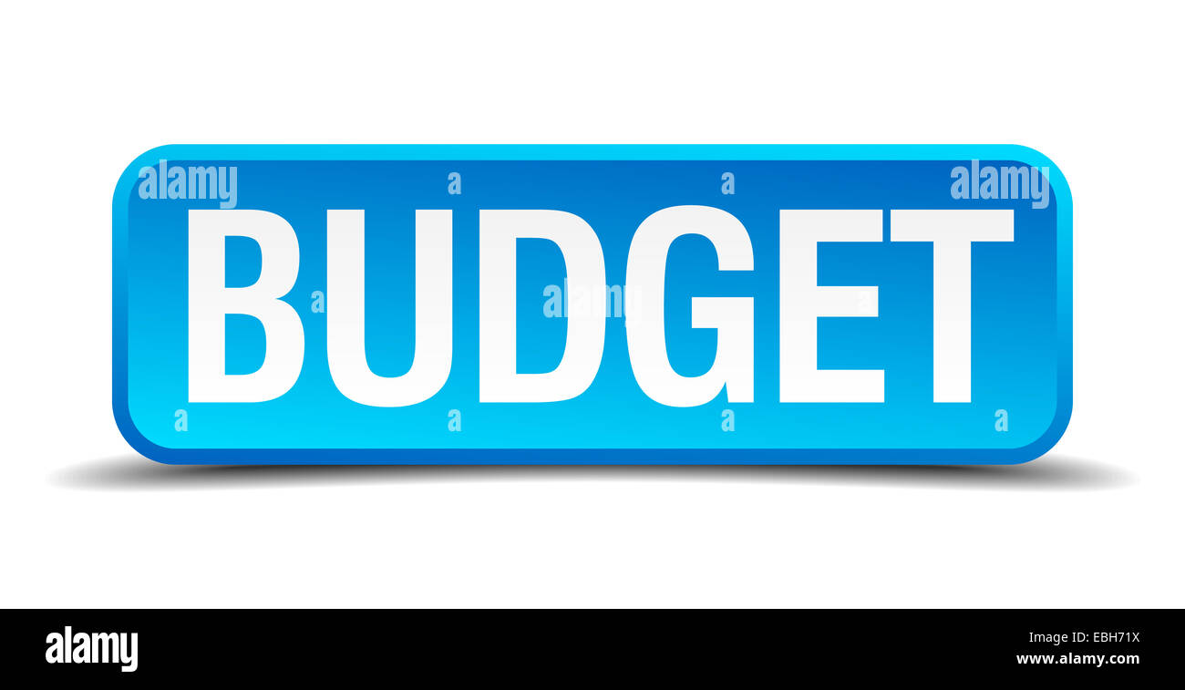 Budget blue 3d realistic square isolated button Stock Photo - Alamy