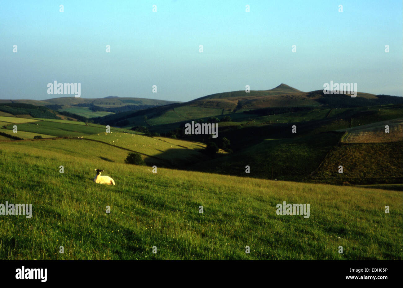View of Shutlingsloe from north, on Cheshire Cycleway, Cheshire, UK ...