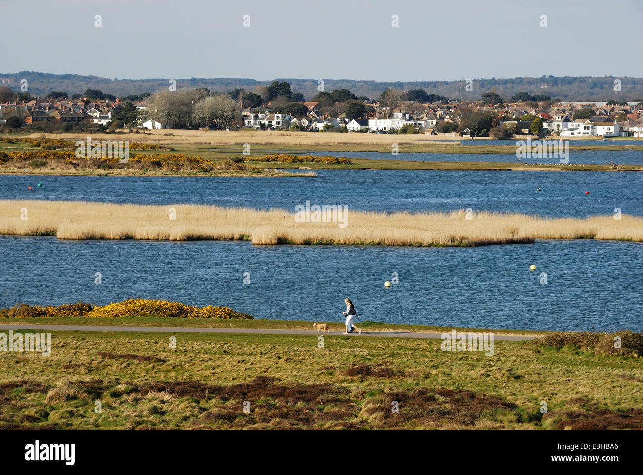 Stanpit hi-res stock photography and images - Alamy
