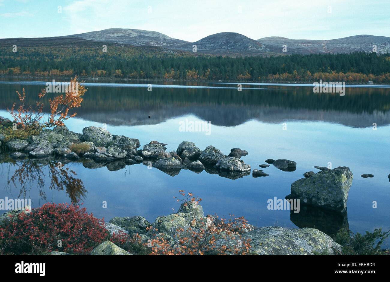 landscape with lake Stock Photo - Alamy
