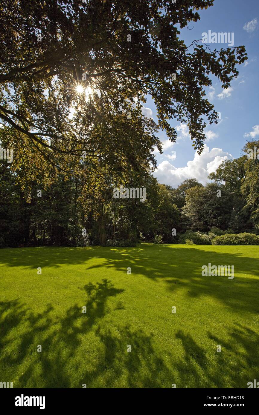 castle park Loburg near Ostbevern, Germany, North Rhine-Westphalia ...