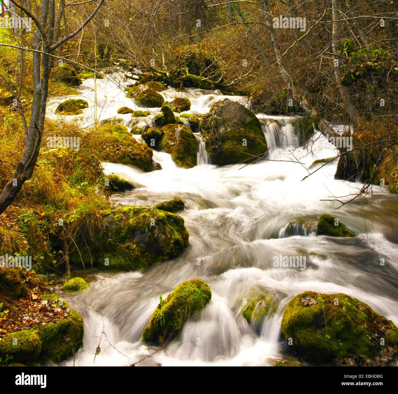 Vevchani hi-res stock photography and images - Alamy