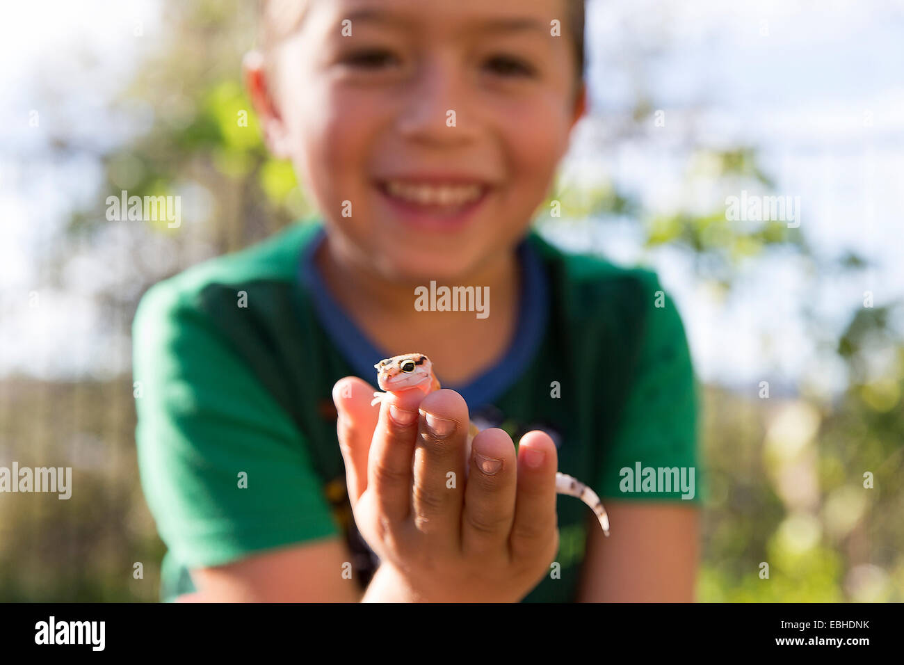 Close up portrait of boy holding gecko Stock Photo - Alamy
